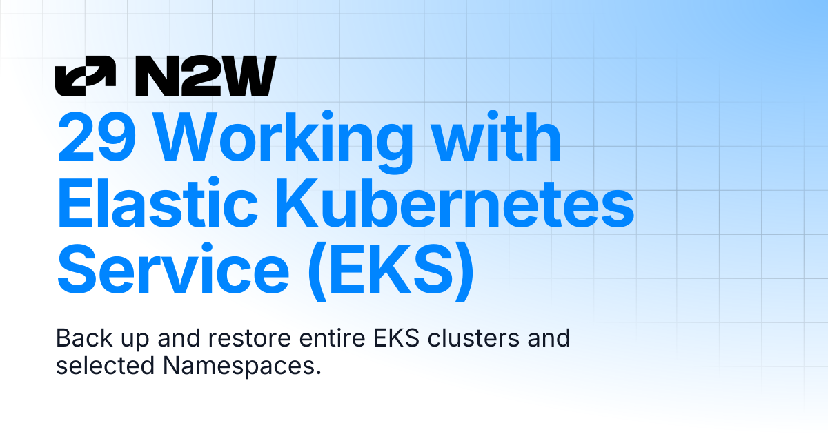 29 Working with Elastic Kubernetes Service (EKS) | N2W User Guide